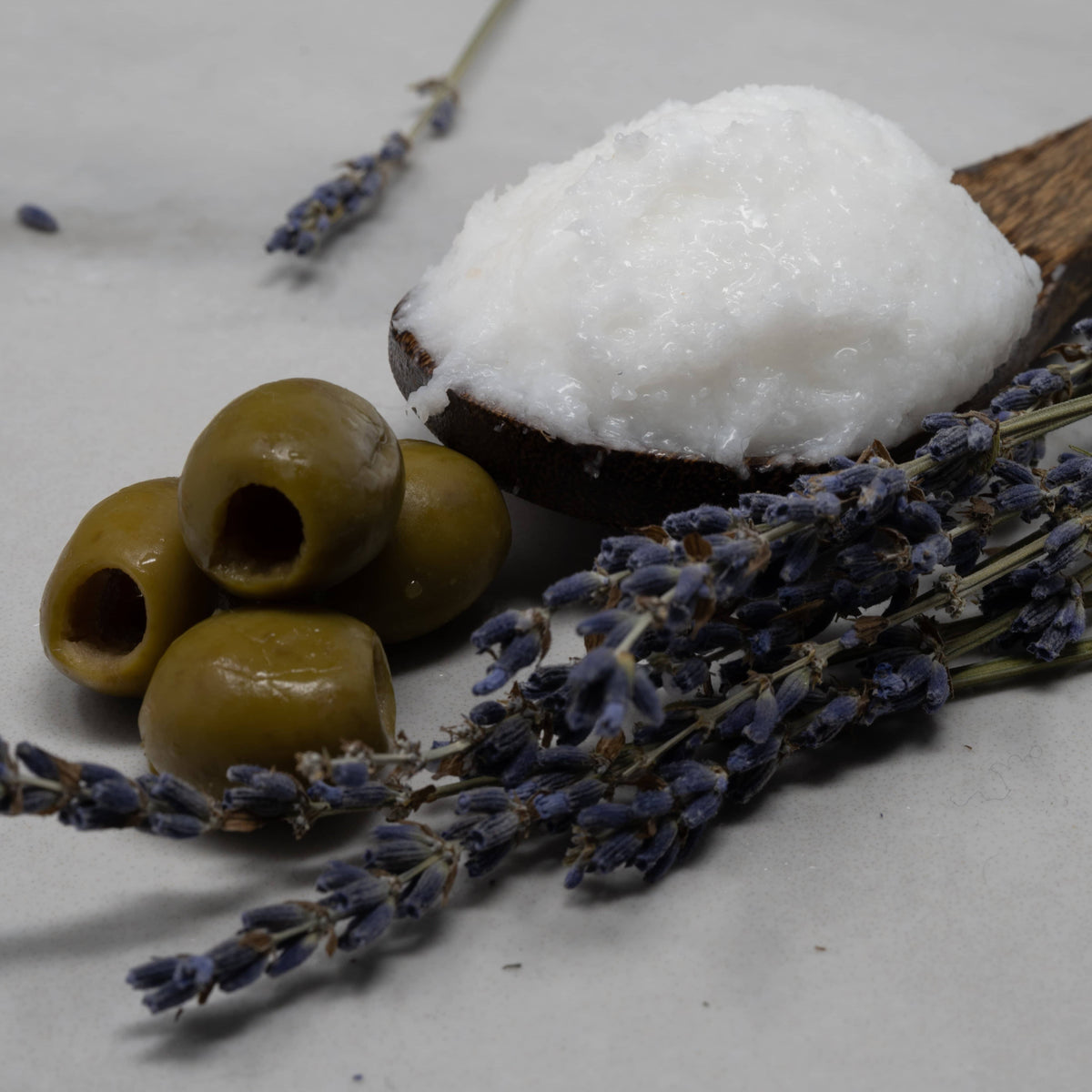 DSC_2370-2_1200x1200.jpg?v=1628333025