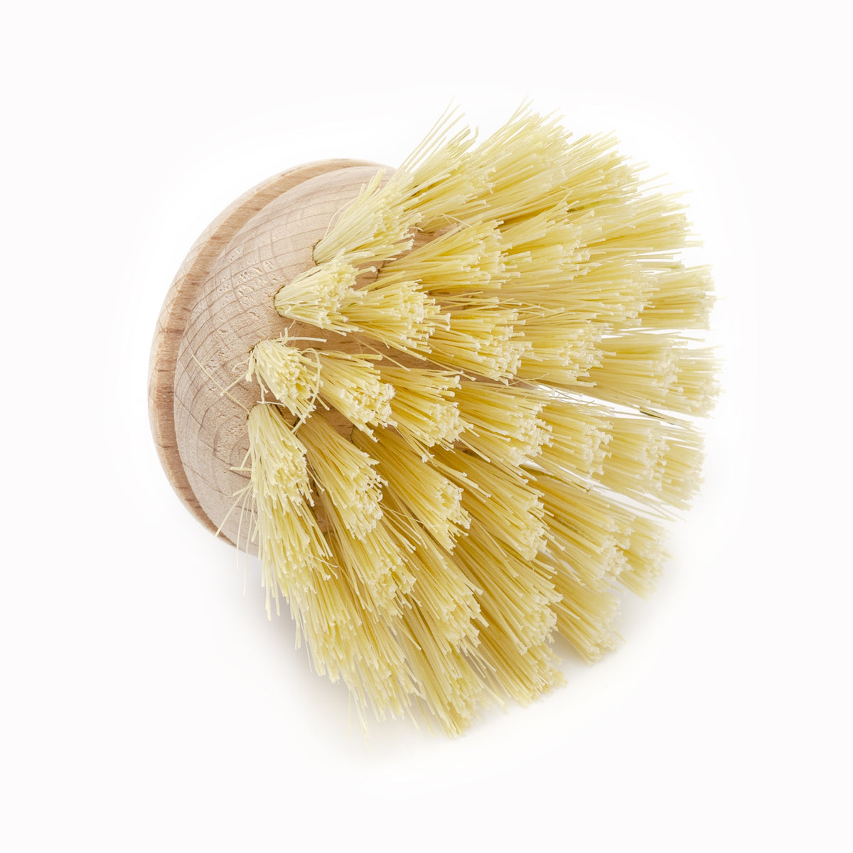 DSC_7022_65396f90-97b3-4ed5-bfae-82439f0b6cdf_1200x1200.jpg?v=1628076281